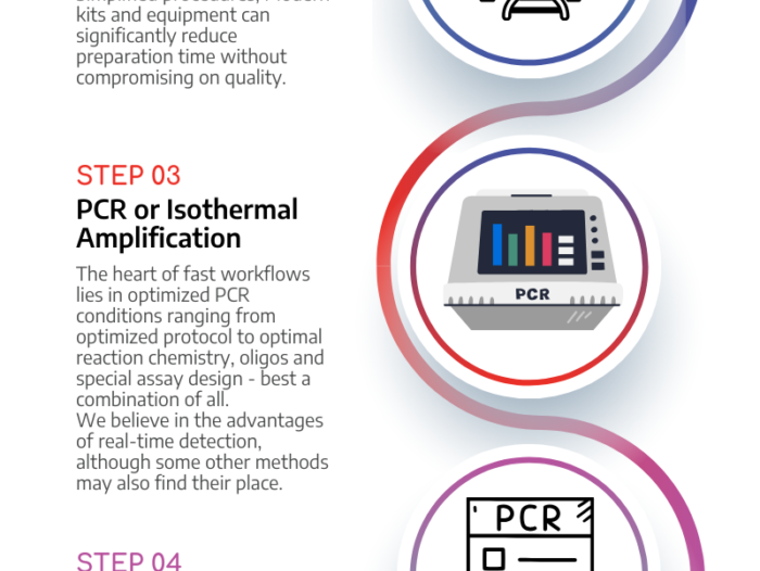 Unveiling the Secrets of Fast PCR Workflows – Ambiatec Biosolutions